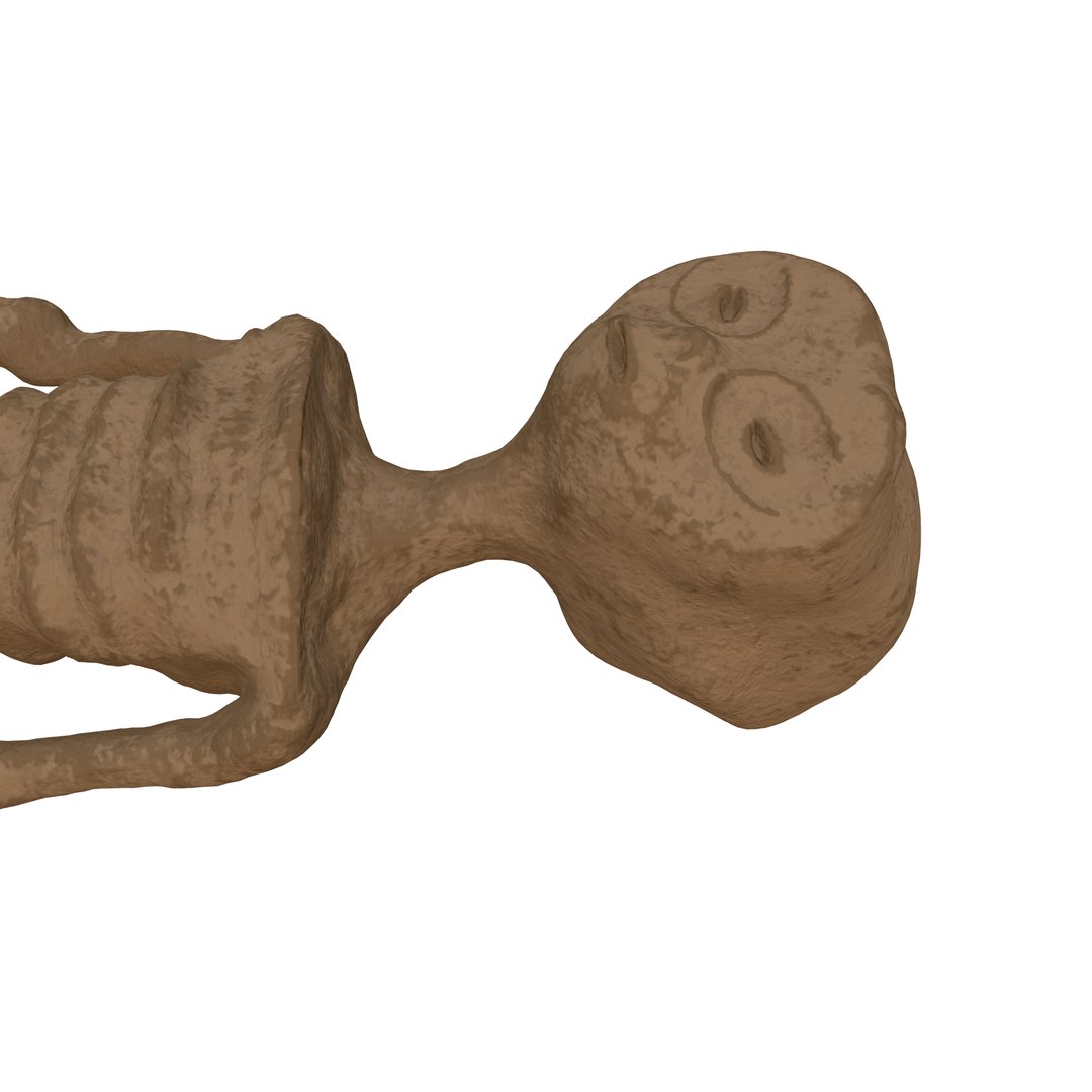Alien Stone Mummy 3D Model - TurboSquid 2272437