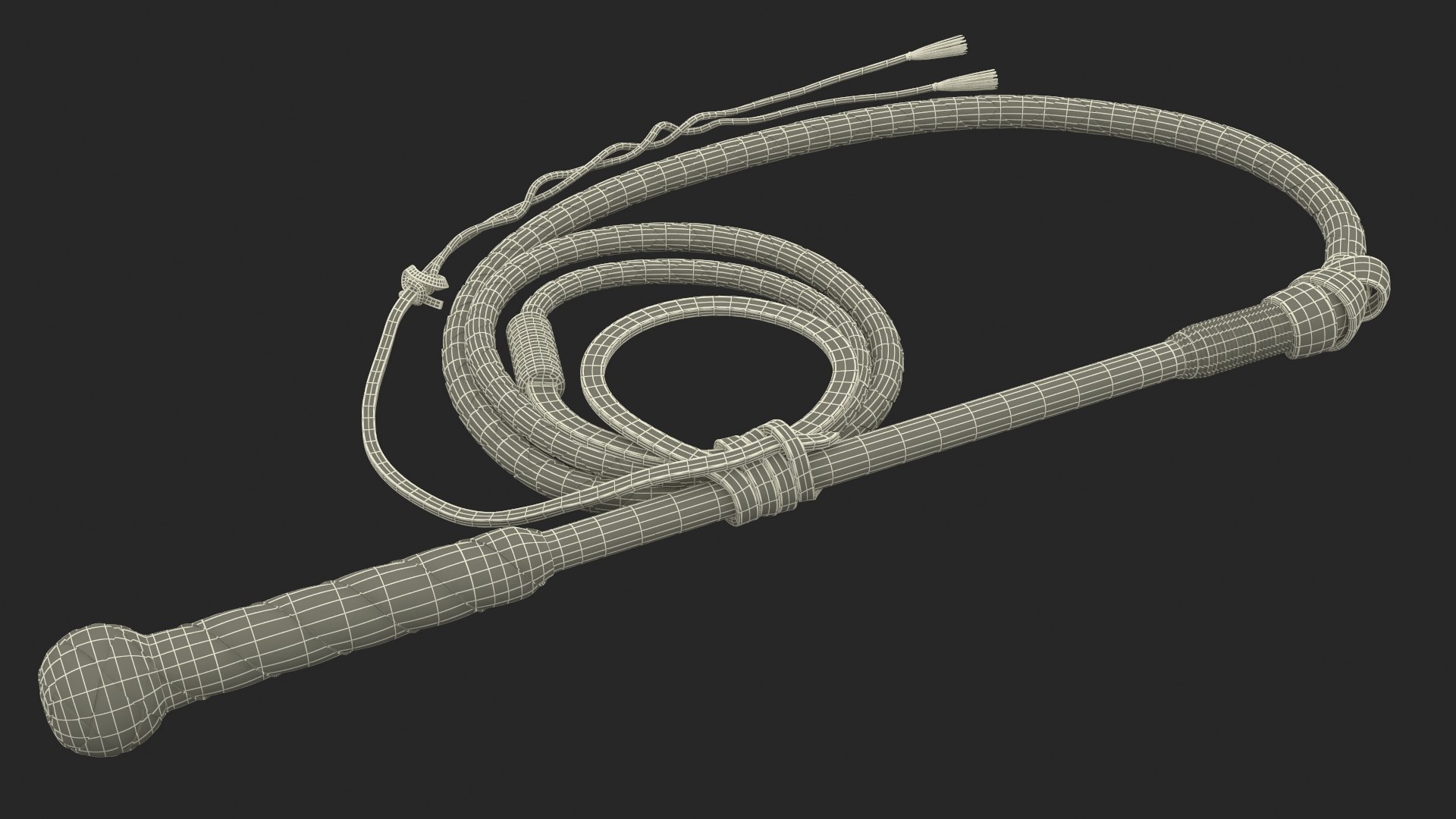 3D Model Leather Whip Coiled Brown Rigged - TurboSquid 2211552