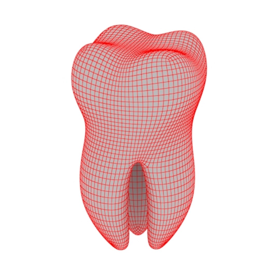 3D Tooth 3 Root Model - TurboSquid 1295489