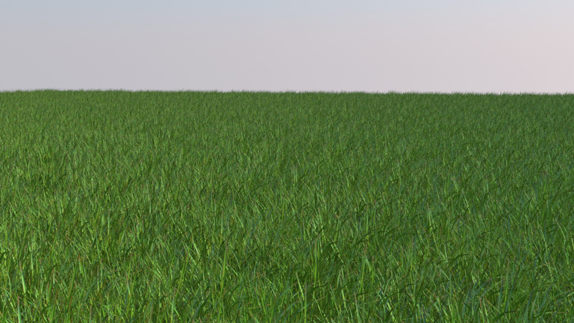 3d Max Grass Animation