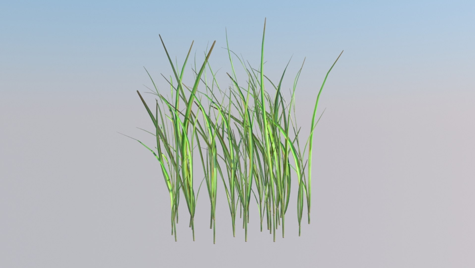 3d Max Grass Animation