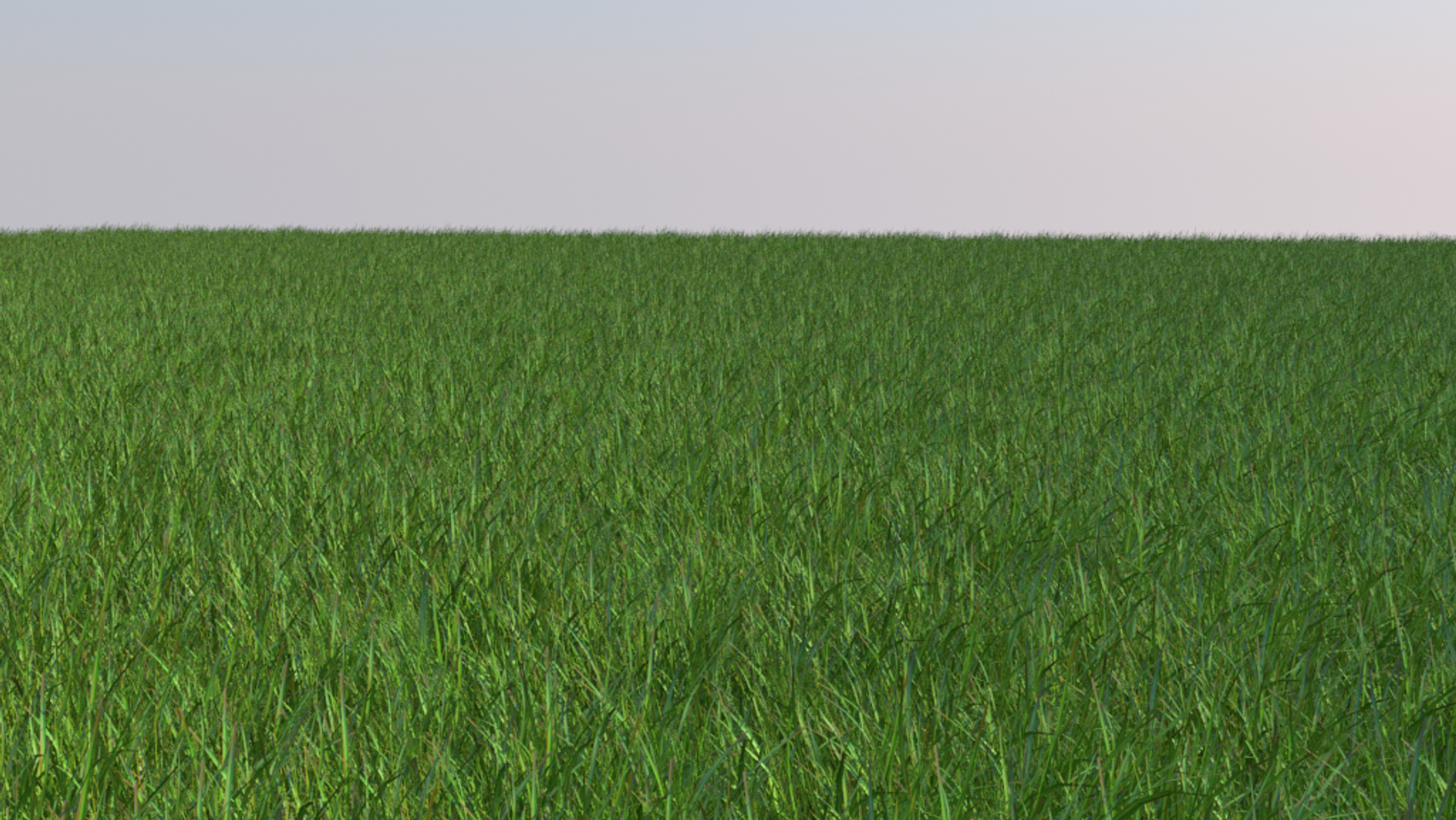 3d Max Grass Animation
