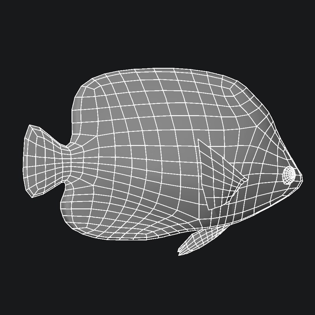 Cheek Butterfly Fish 3D - TurboSquid 1244598