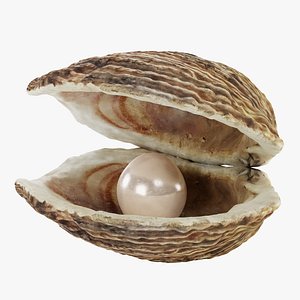 Download Free & Premium Pearl In Shell 3D Models | TurboSquid