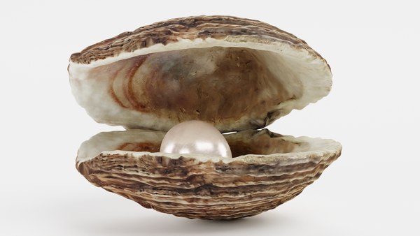 modelo 3d Perla en concha - TurboSquid 2049097