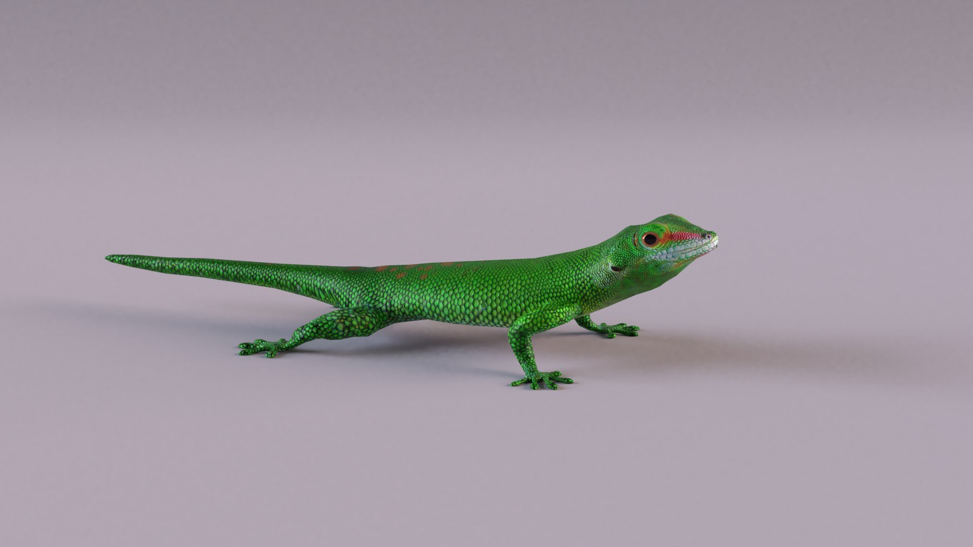 3D Reptiles Model - TurboSquid 1882509