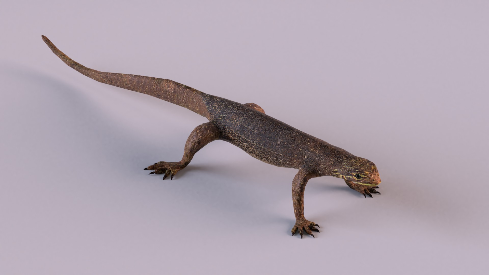 3D Reptiles Model - TurboSquid 1882509