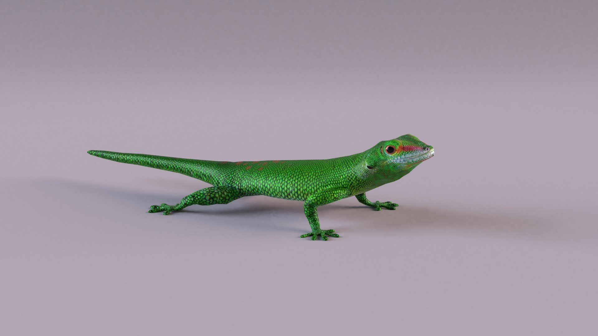 3D Reptiles Model - TurboSquid 1882509
