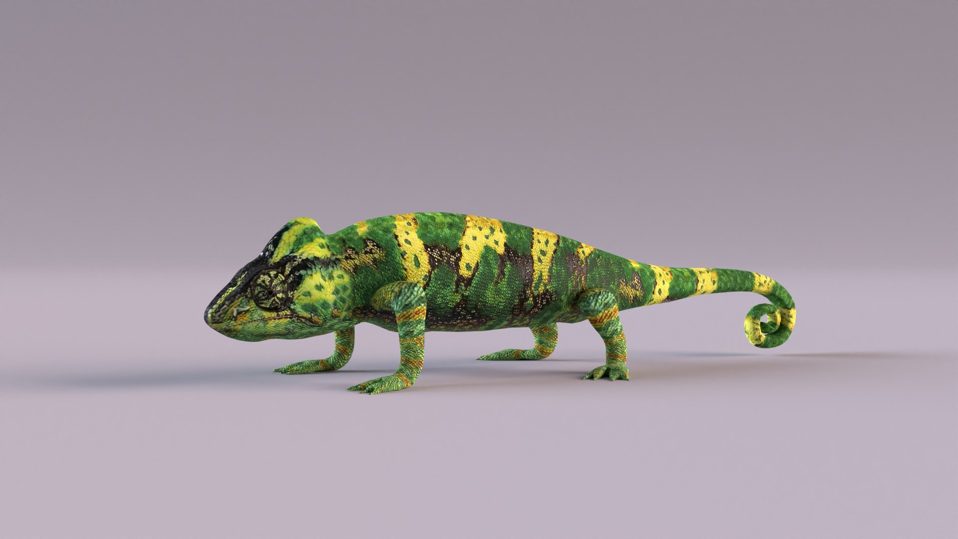 3D Reptiles Model - TurboSquid 1882509