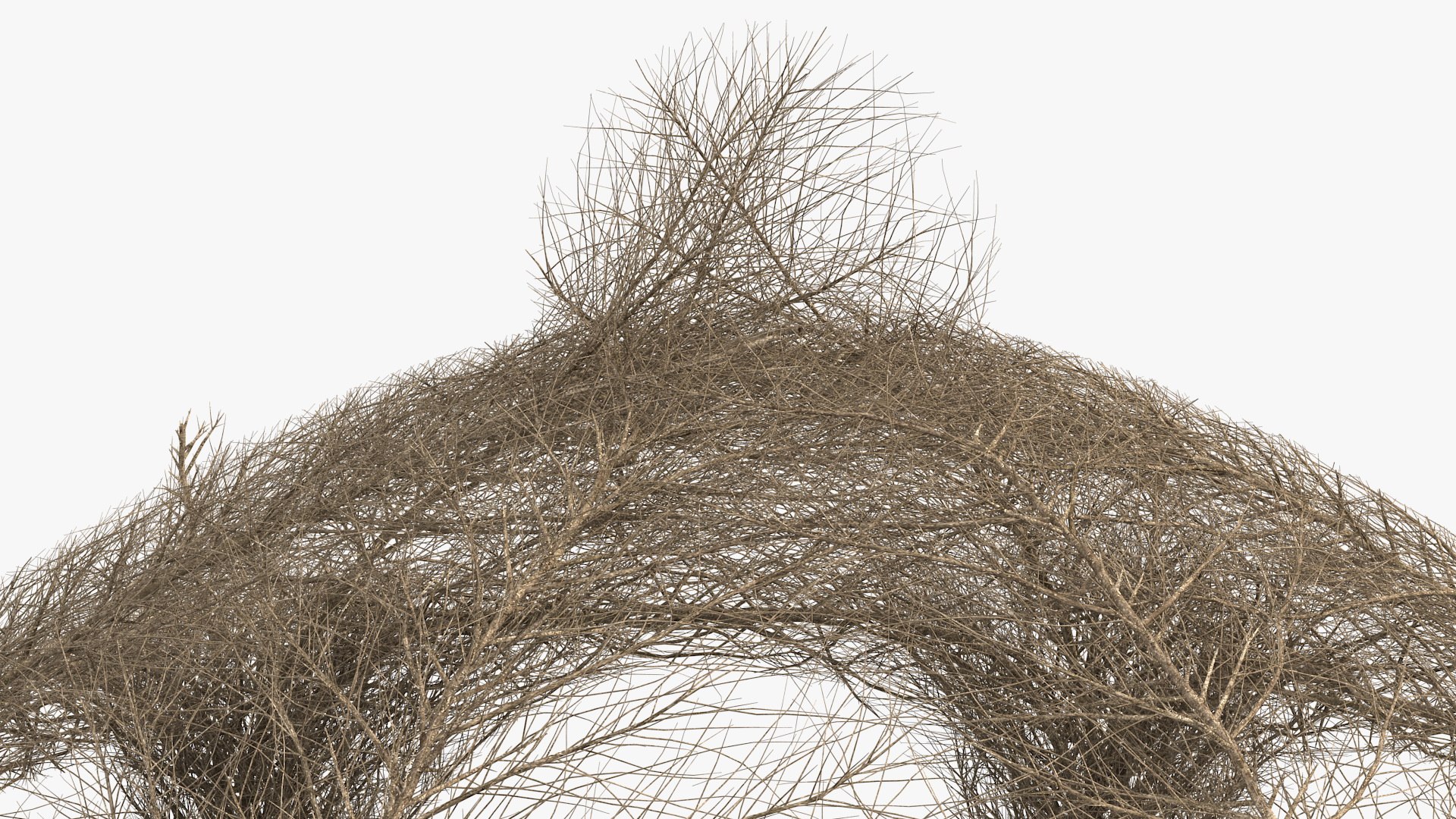 Branch gazebo 3D model - TurboSquid 1618827
