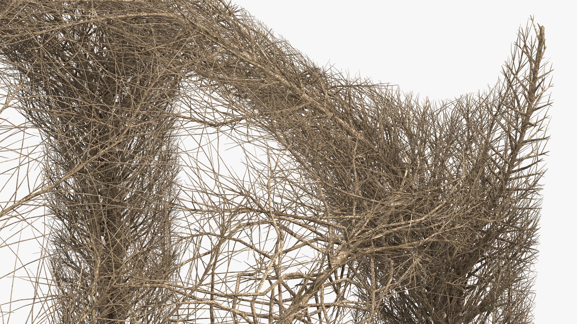 Branch gazebo 3D model - TurboSquid 1618827