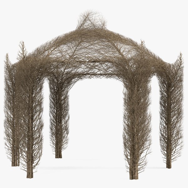 Branch gazebo 3D model - TurboSquid 1618827
