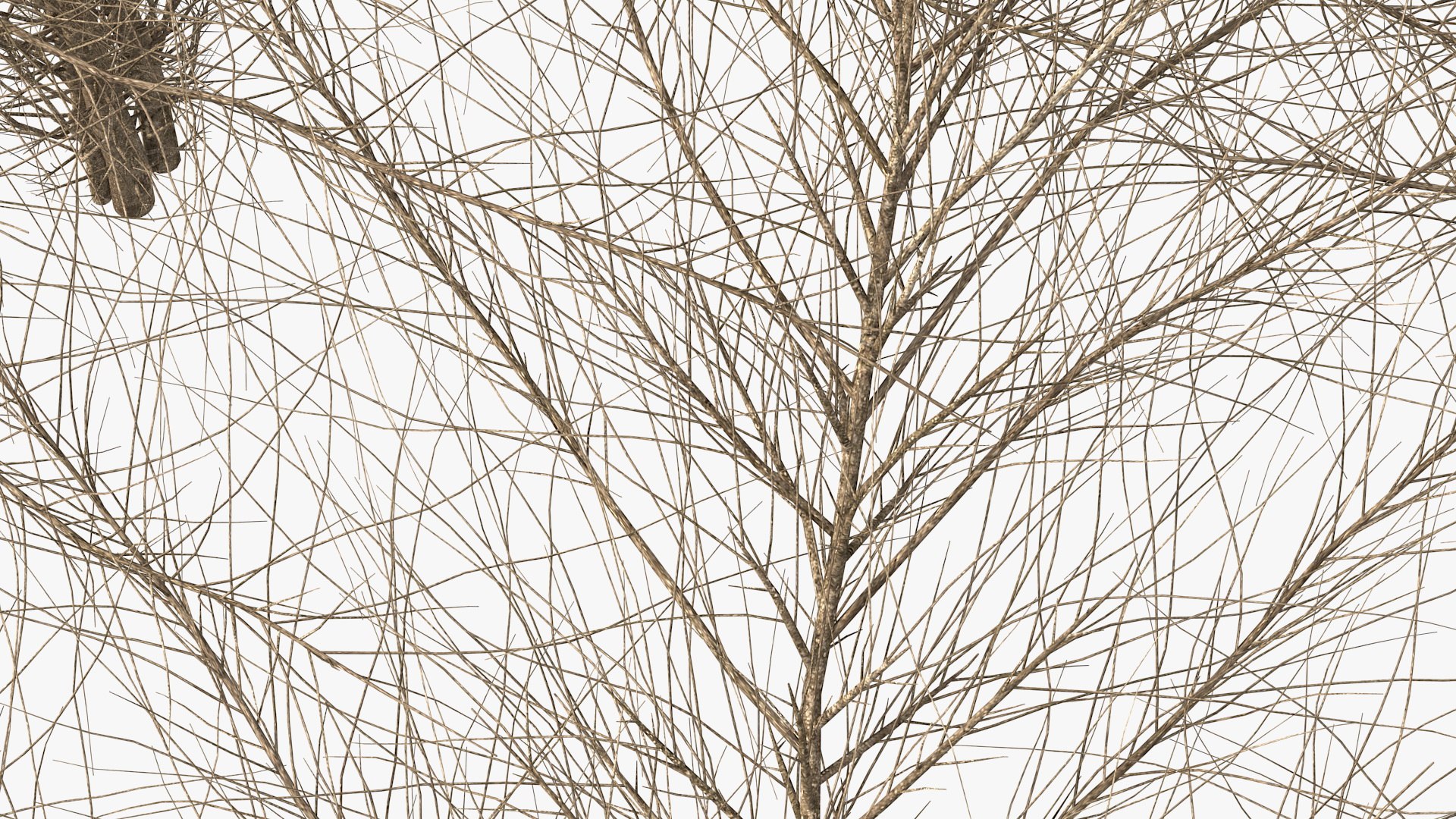 Branch gazebo 3D model - TurboSquid 1618827