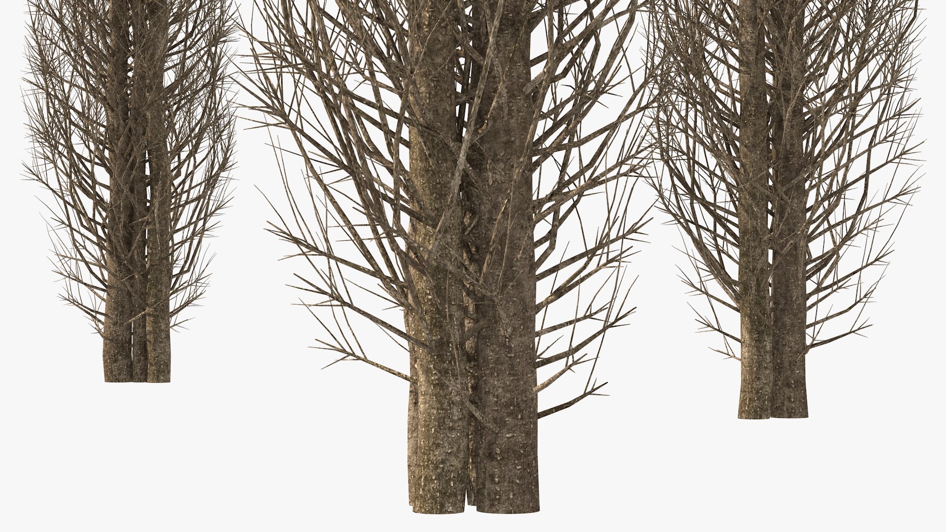 Branch gazebo 3D model - TurboSquid 1618827