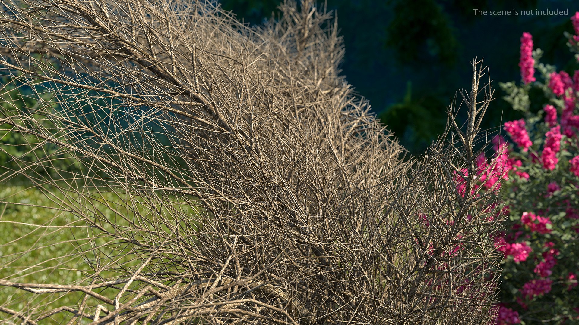 Branch gazebo 3D model - TurboSquid 1618827
