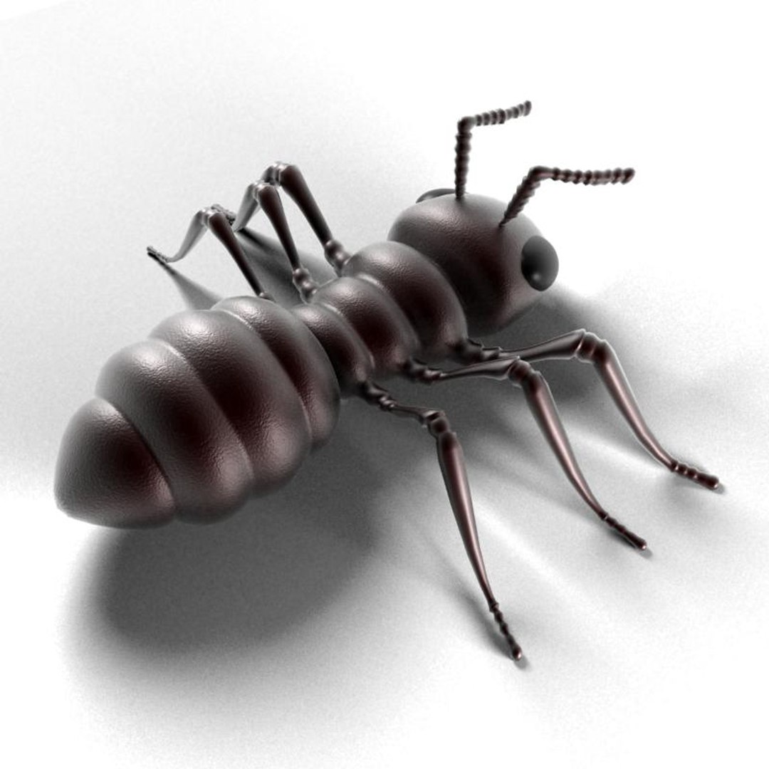 Ant 3D Model - TurboSquid 393060