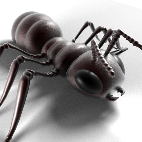 3D 3D Studio Ant insect bug