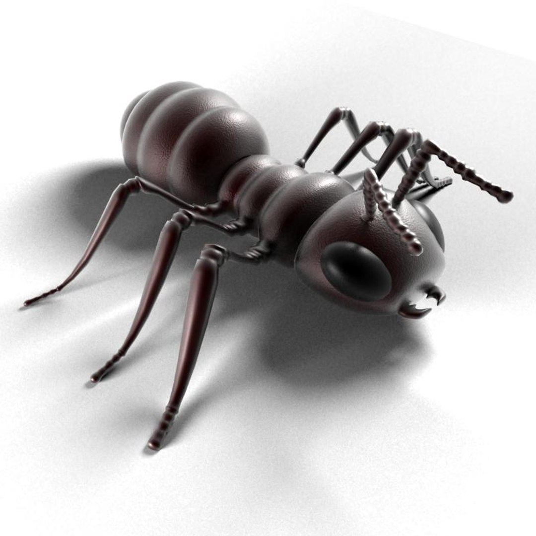 Ant 3D Model - TurboSquid 393060