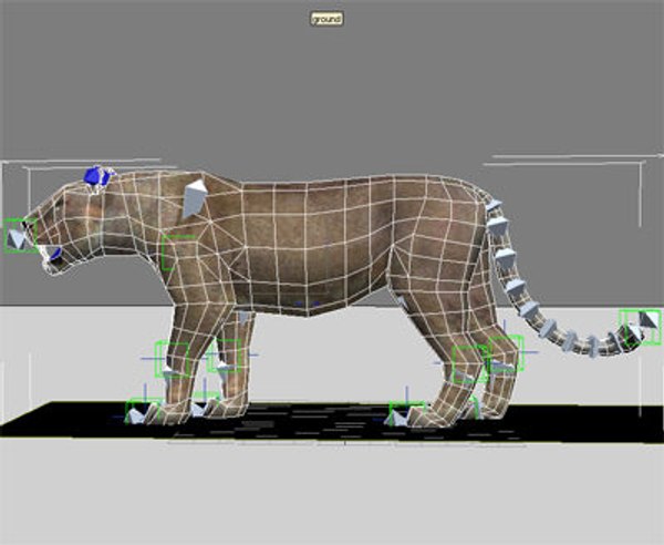 lioness lion 3d model