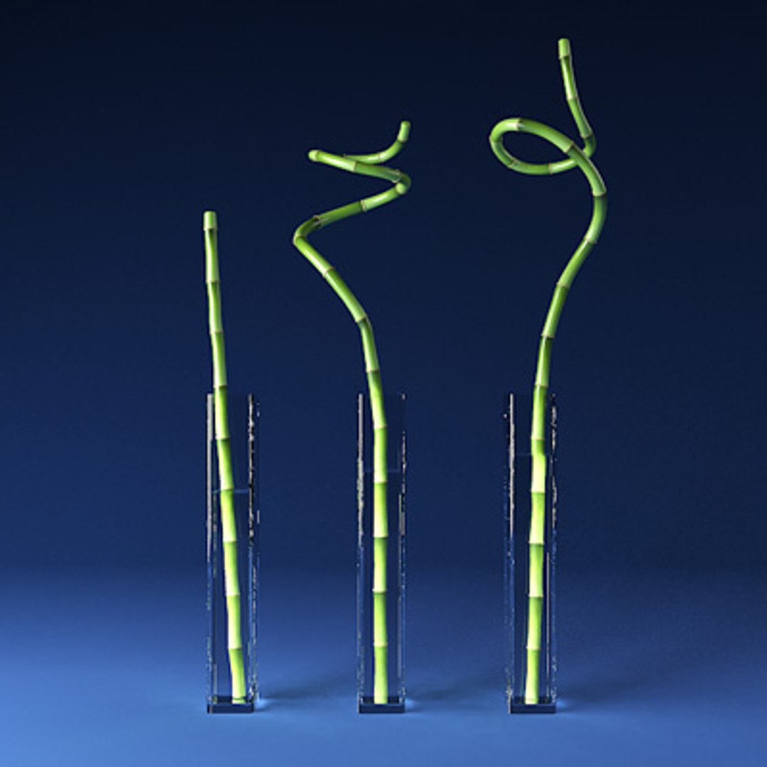 decorative bamboo sticks 3d model