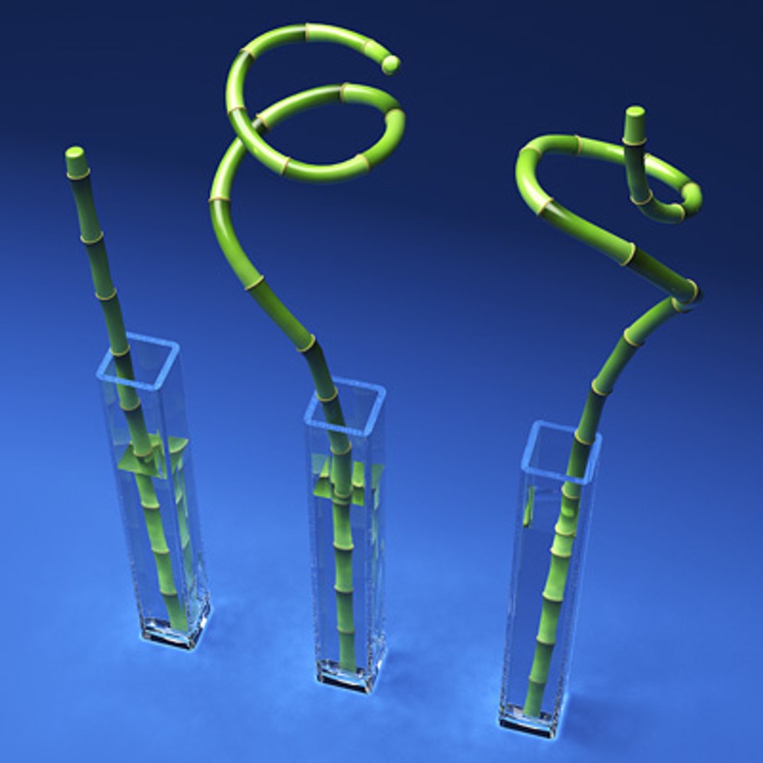 decorative bamboo sticks 3d model