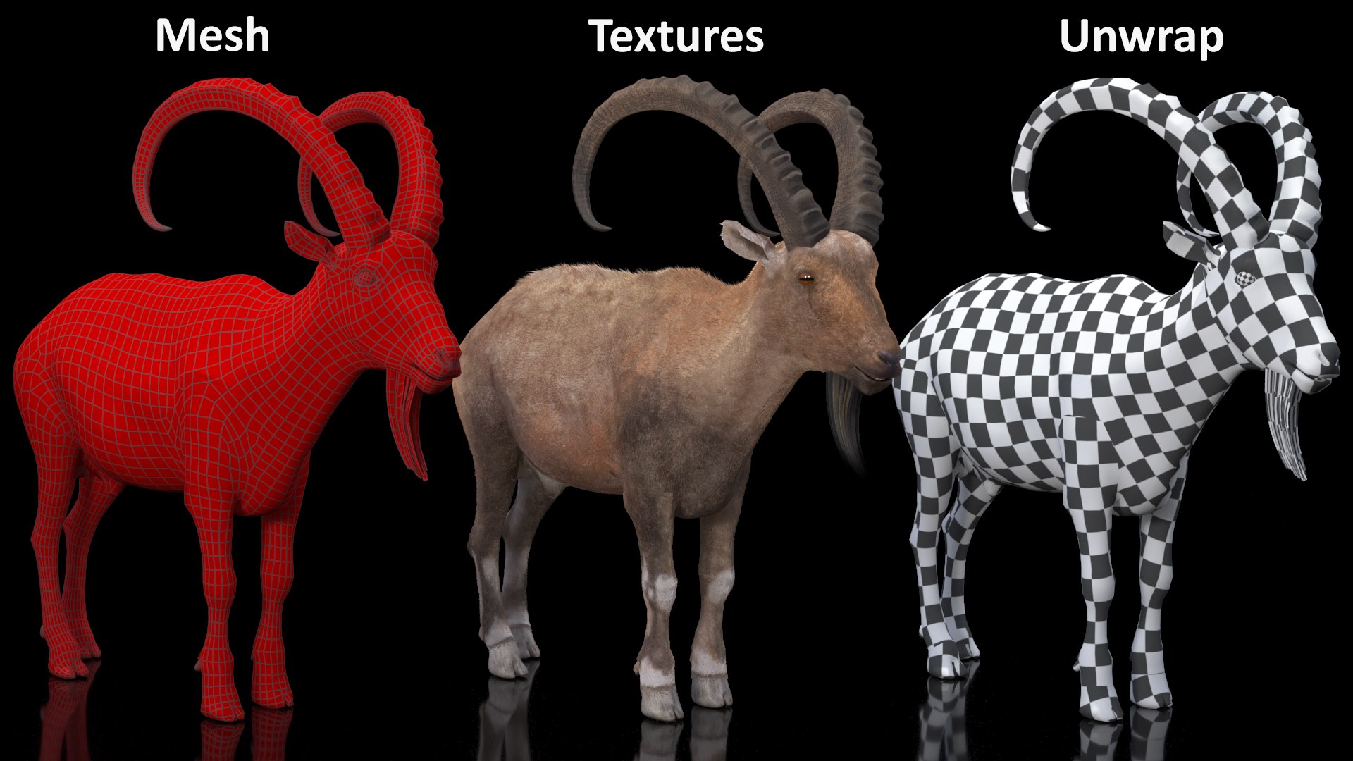 Alpine Ibex Stand Pose Fur 3D Model - TurboSquid 2219826