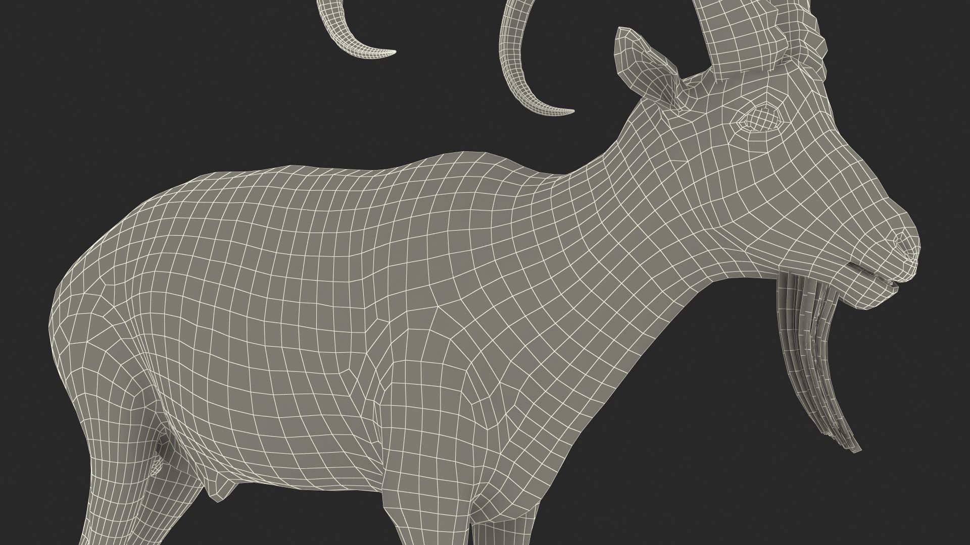 Alpine Ibex Stand Pose Fur 3D Model - TurboSquid 2219826