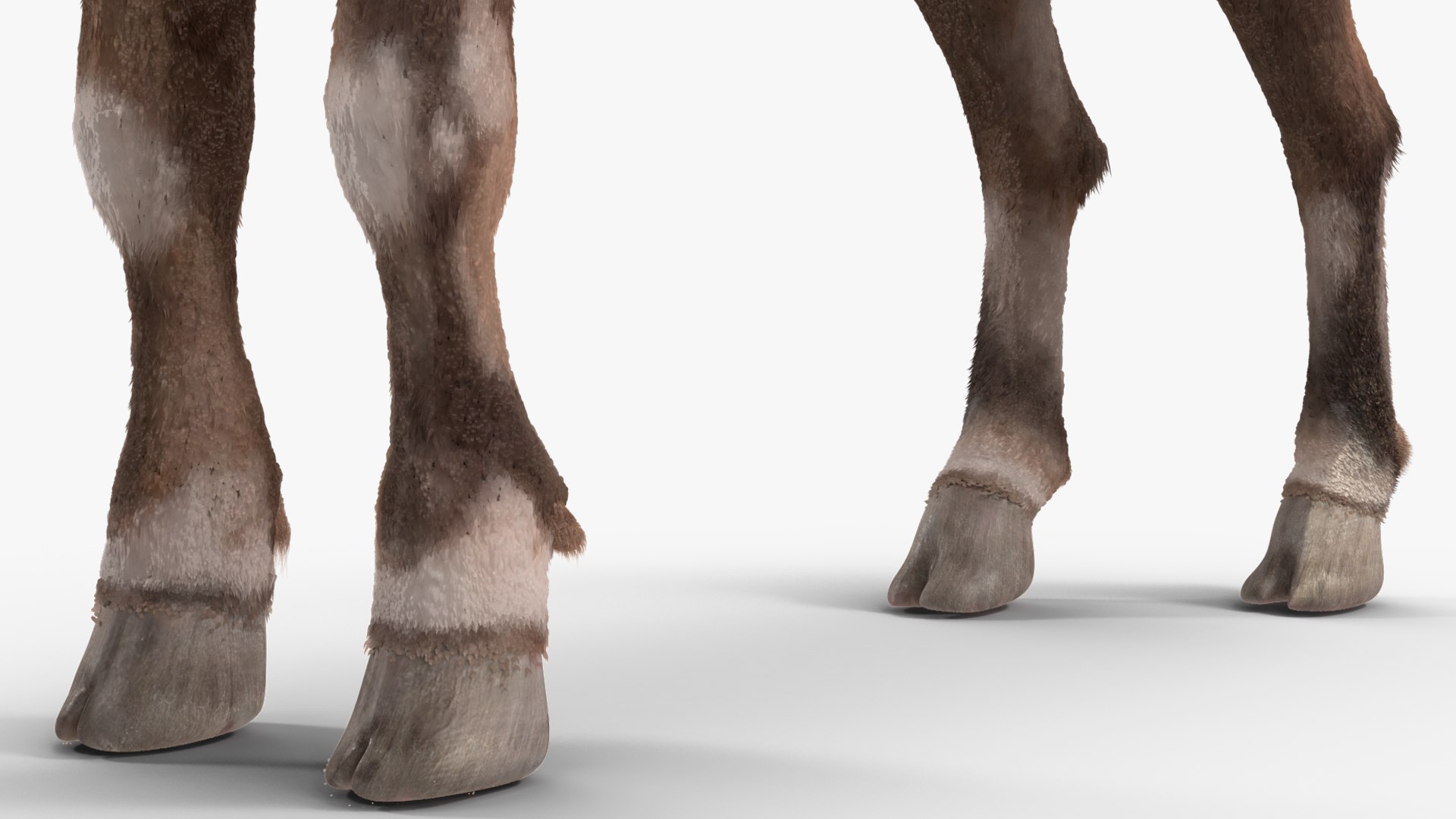 Alpine Ibex Stand Pose Fur 3D Model - TurboSquid 2219826