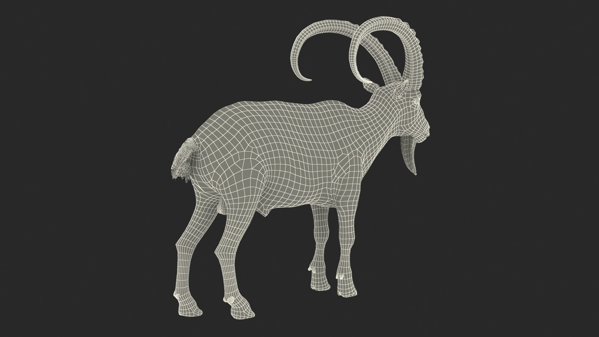 Alpine Ibex Stand Pose Fur 3D Model - TurboSquid 2219826