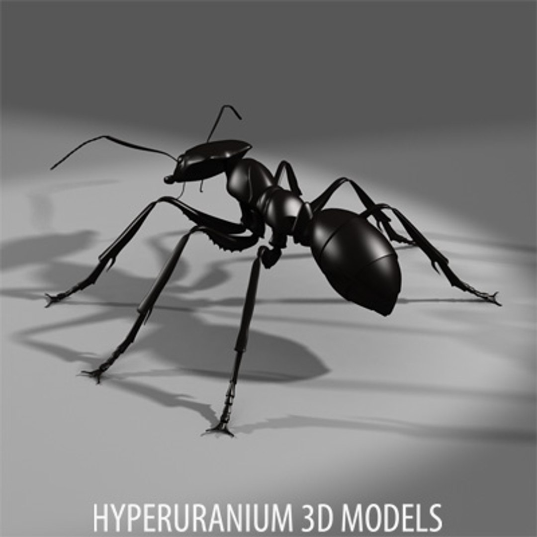 Ant 3D Model - TurboSquid 272542
