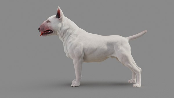 3D model Dogs Collections VrayFur - TurboSquid 1757509