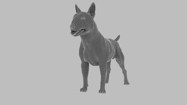 3D model Dogs Collections VrayFur - TurboSquid 1757509