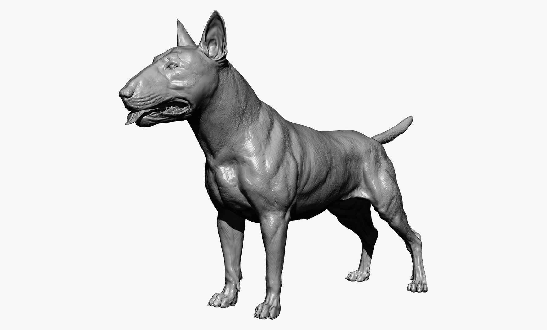 3D Model Dogs Collections VrayFur - TurboSquid 1757509