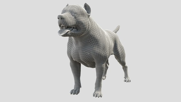 3D model Dogs Collections VrayFur - TurboSquid 1757509