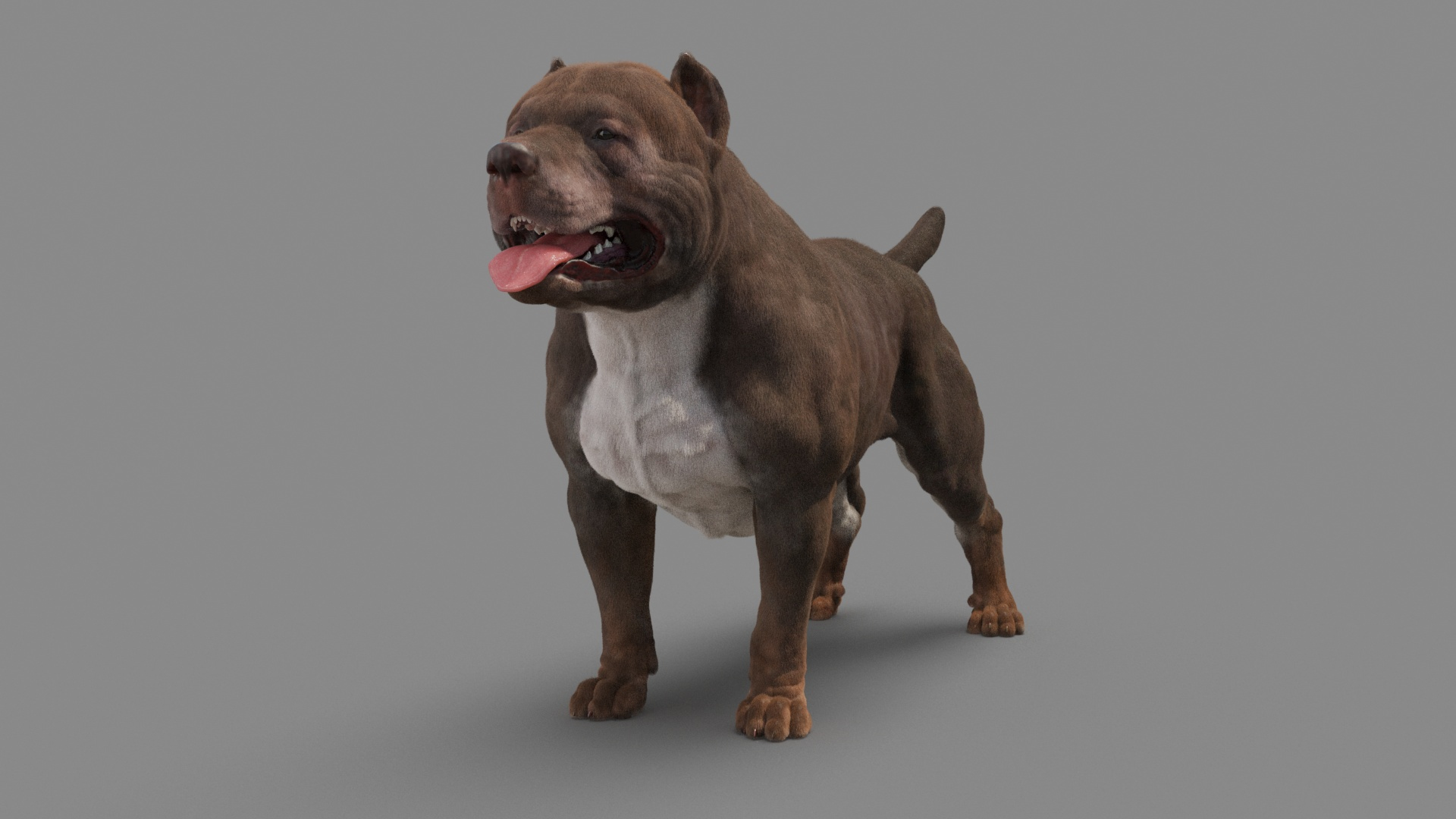 3D Model Dogs Collections VrayFur - TurboSquid 1757509