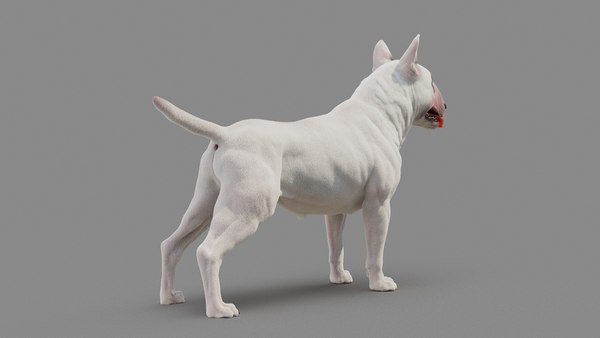 3D model Dogs Collections VrayFur - TurboSquid 1757509
