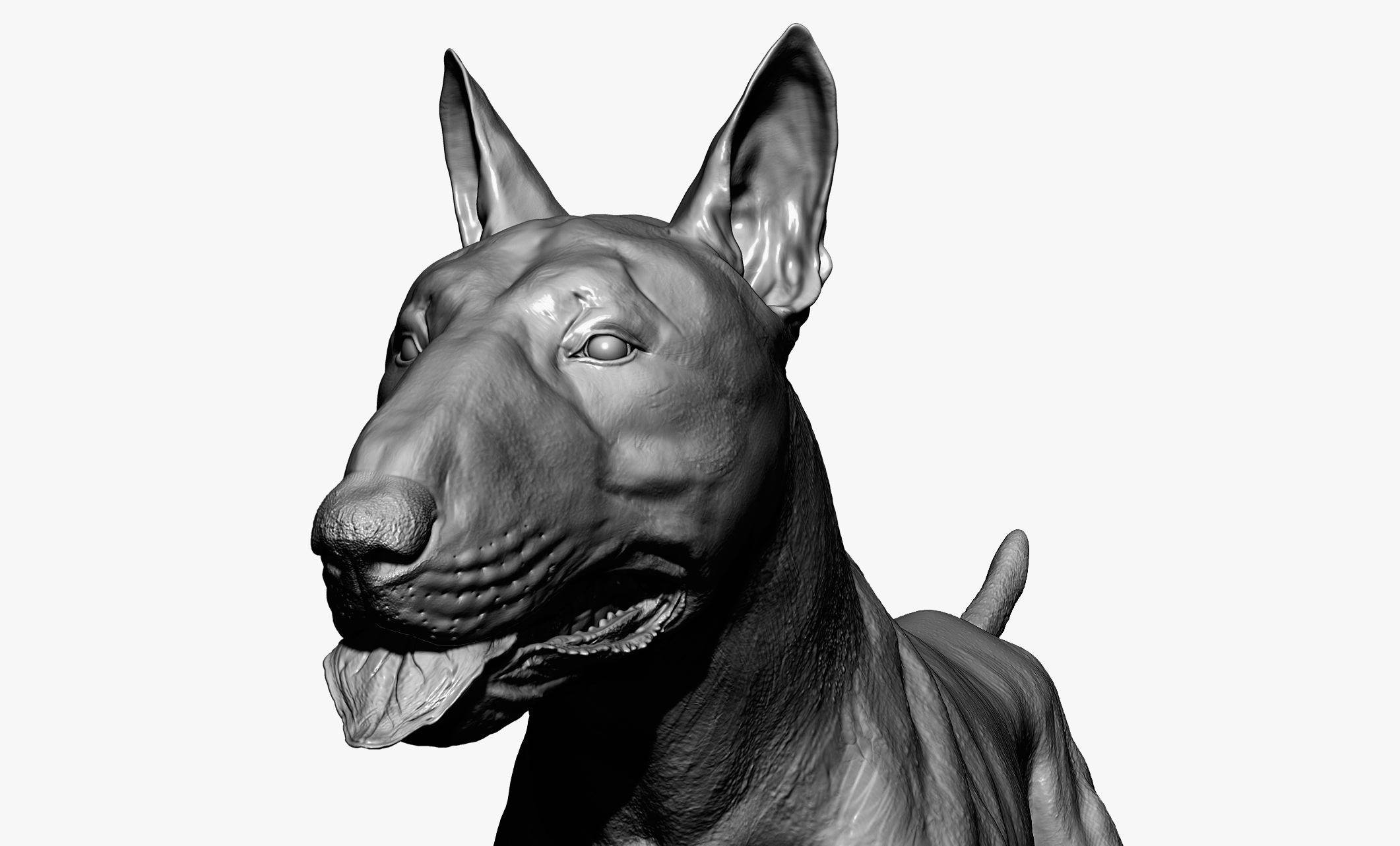 3D model Dogs Collections VrayFur - TurboSquid 1757509