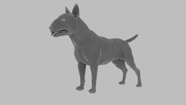 3D model Dogs Collections VrayFur - TurboSquid 1757509
