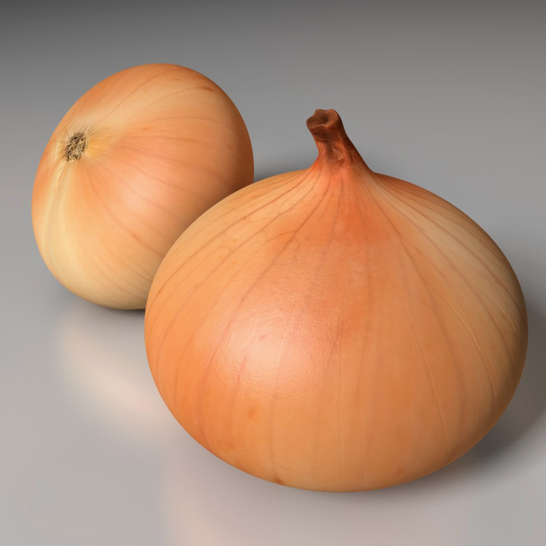 3d model realistic onion