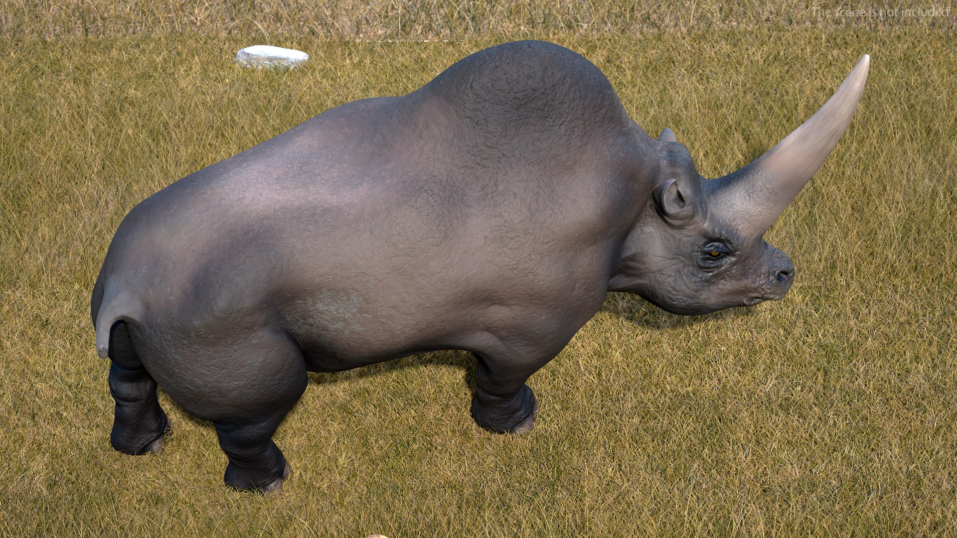 Extinct Giant Rhinoceros Walking Pose 3D Model - TurboSquid 1974396
