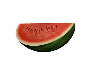 3d Model Watermelon Melon