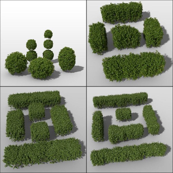 Topiary 3D Models for Download | TurboSquid