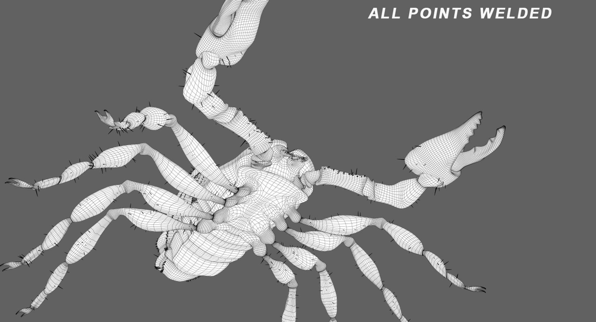 4k Scorpion Model - TurboSquid 1231229