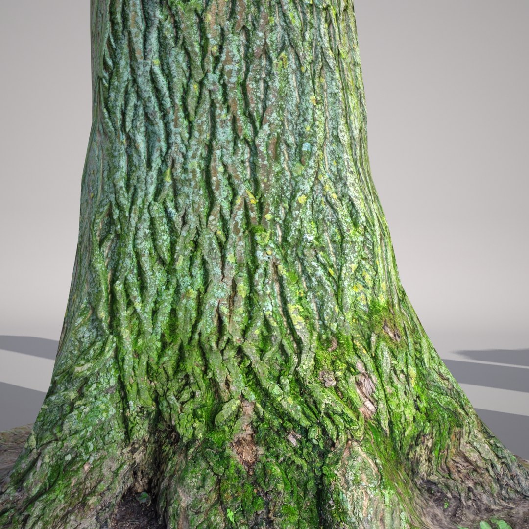 3d Scan Trees Model