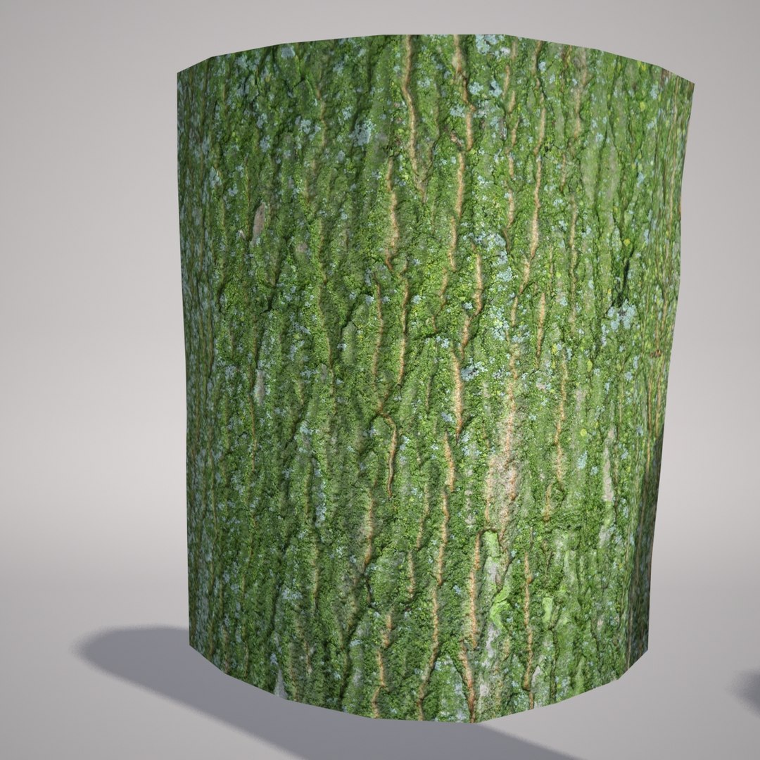 3d Scan Trees Model