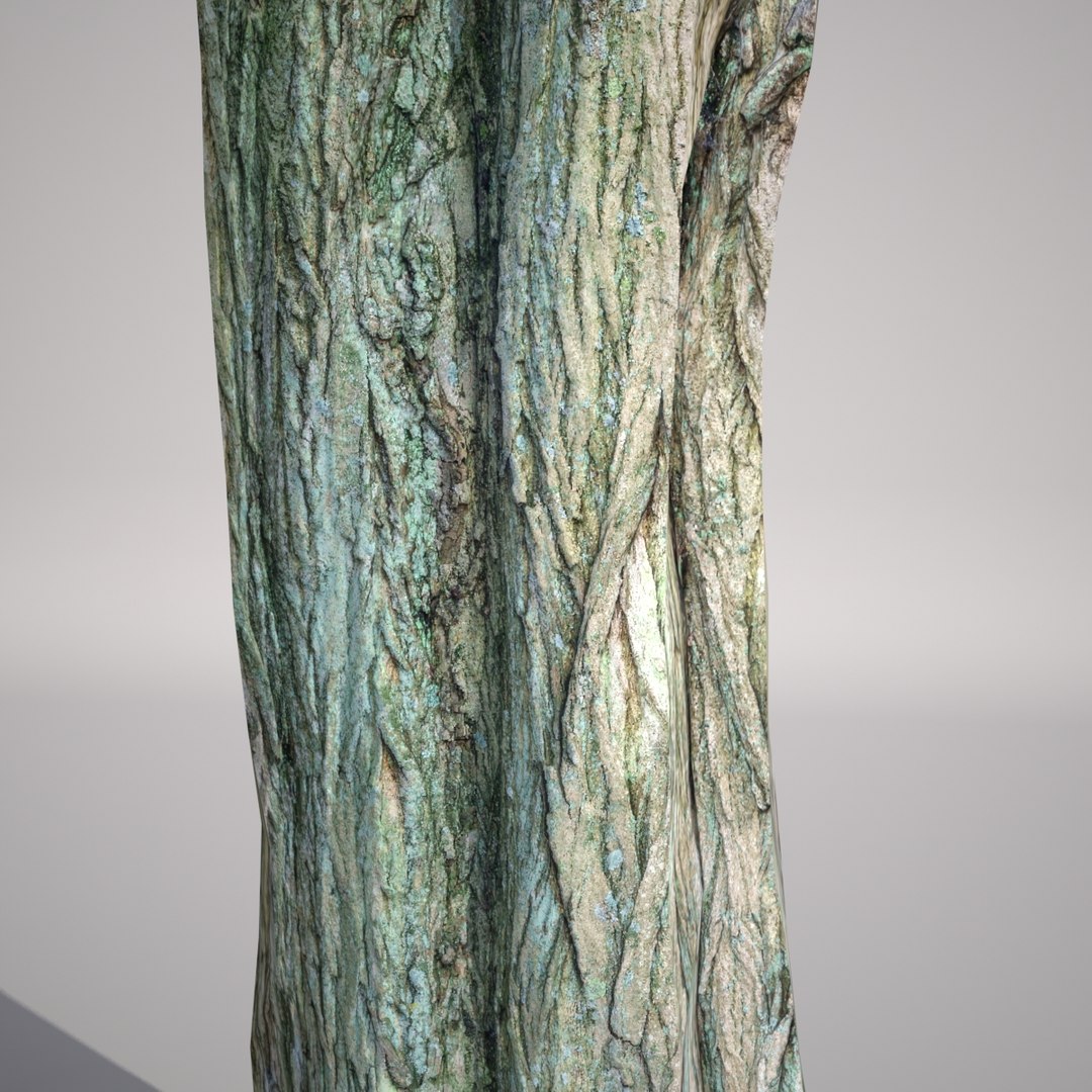 3d Scan Trees Model