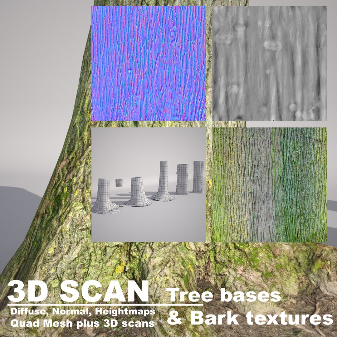 3d Scan Trees Model