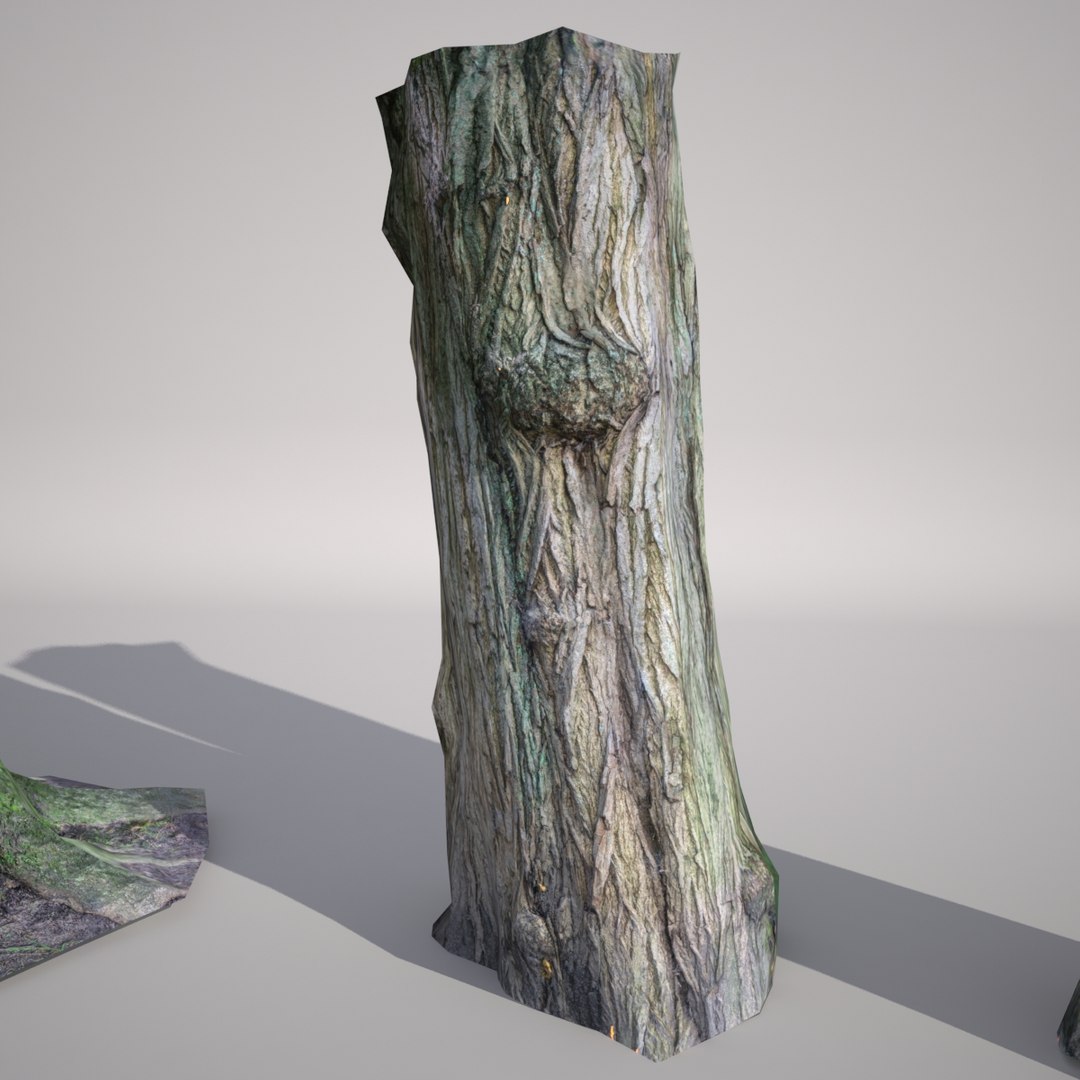 3d Scan Trees Model