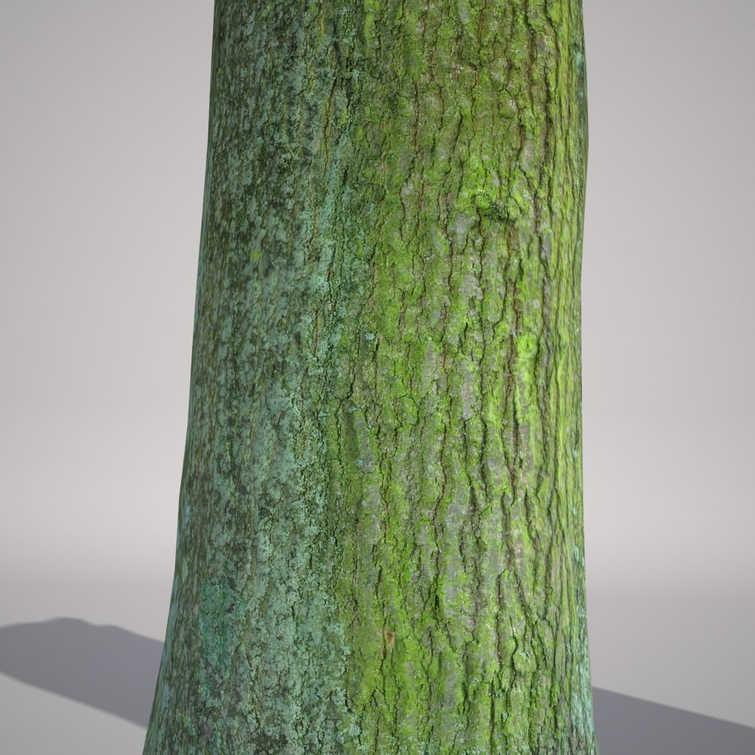3d Scan Trees Model