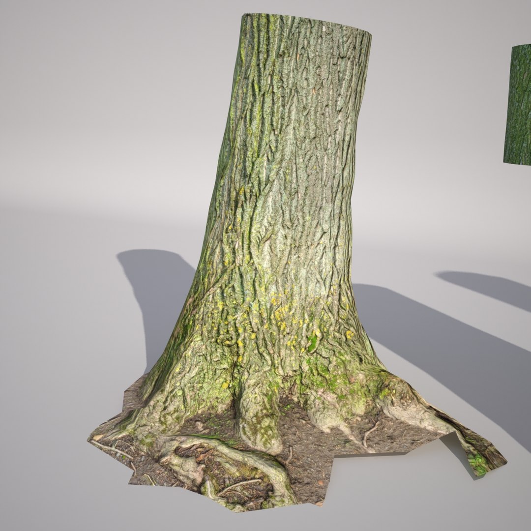 3d Scan Trees Model